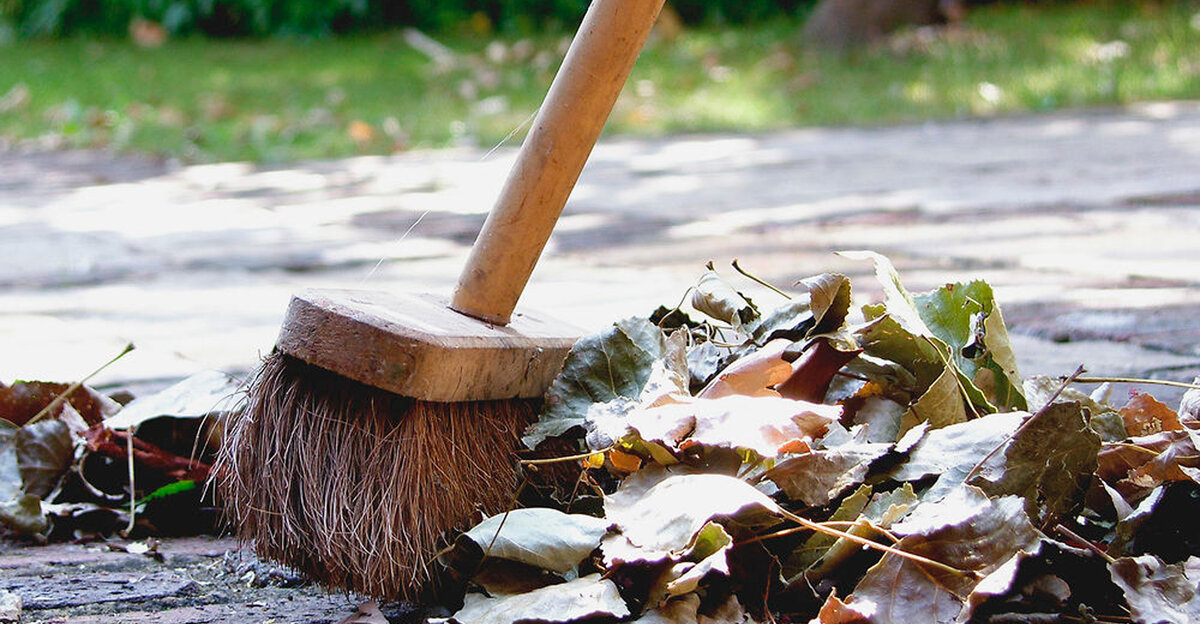 Skal du betale, hvis nogen glider i dine visne blade?