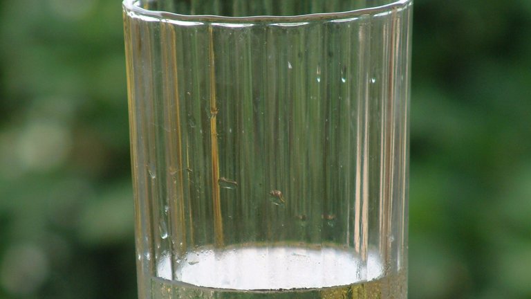 Få viden om dit vand | Sådan tjekker du dit drikkevand