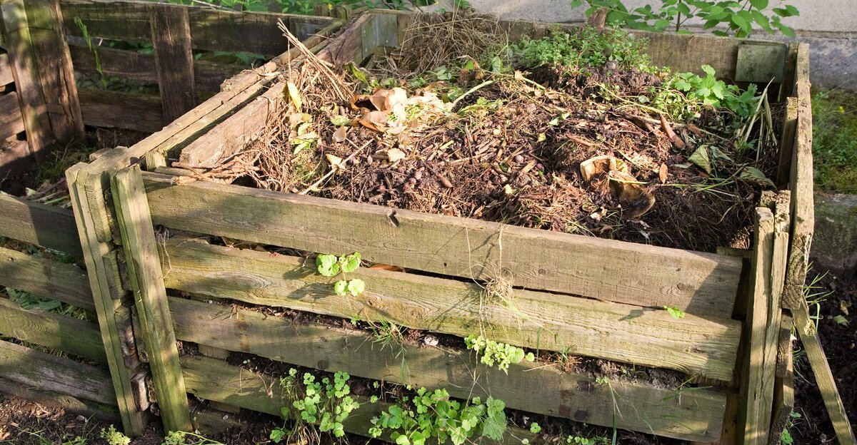 Lav din egen super-kompost: Få opskriften på den bedste kompost her