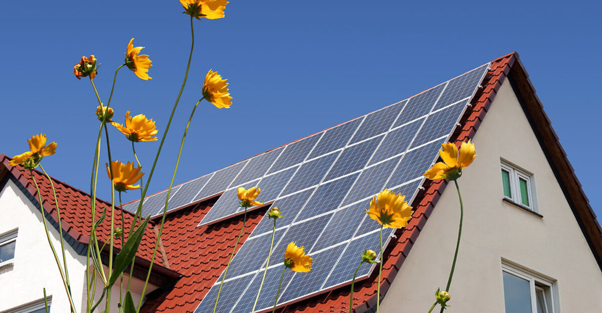 Sådan vælger du de rigtige solceller